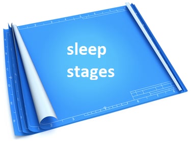 What is sleep architecture? (Stages and Cycles)