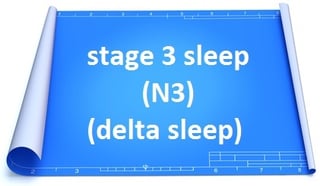 What is sleep architecture? (Stages and Cycles)