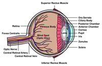 Is OSA to blame for my eye problems?